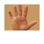 Human Body Parts Name in Hindi and English with Pictures - 2024 ...