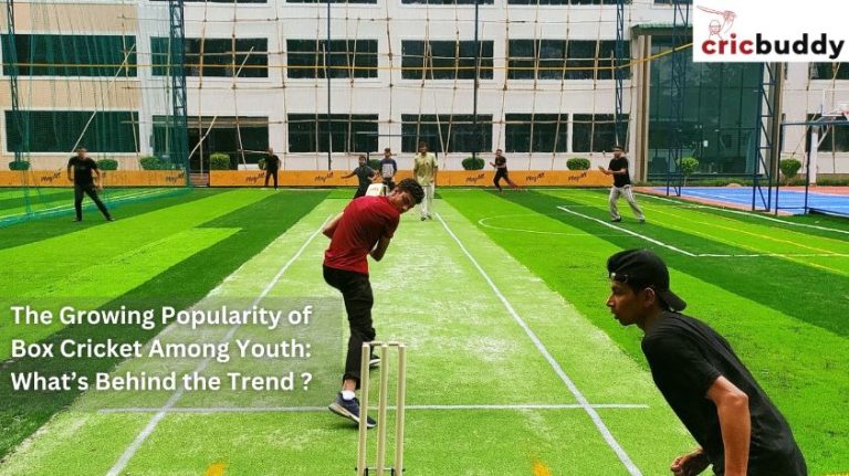 The Growing Popularity Of Box Cricket Among Youth: What's Behind The ...